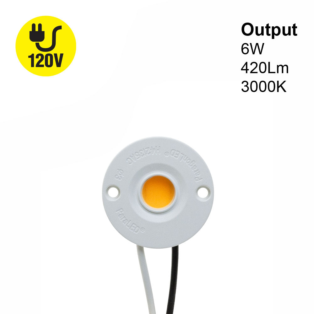 COB Paragon LED Module with H42135AC LED Holder, 120V 6W 3000K
